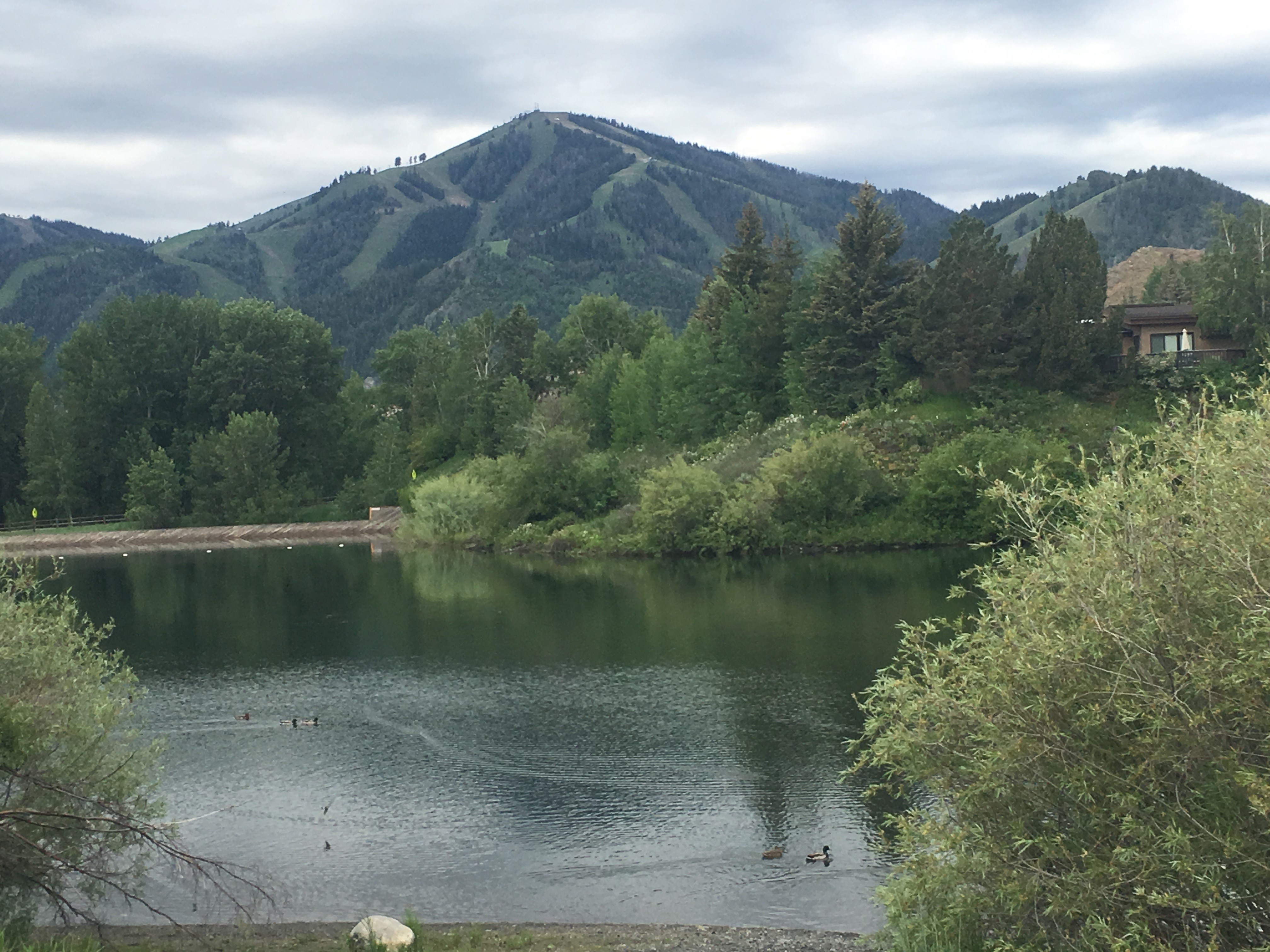 pond – Marion’s Place